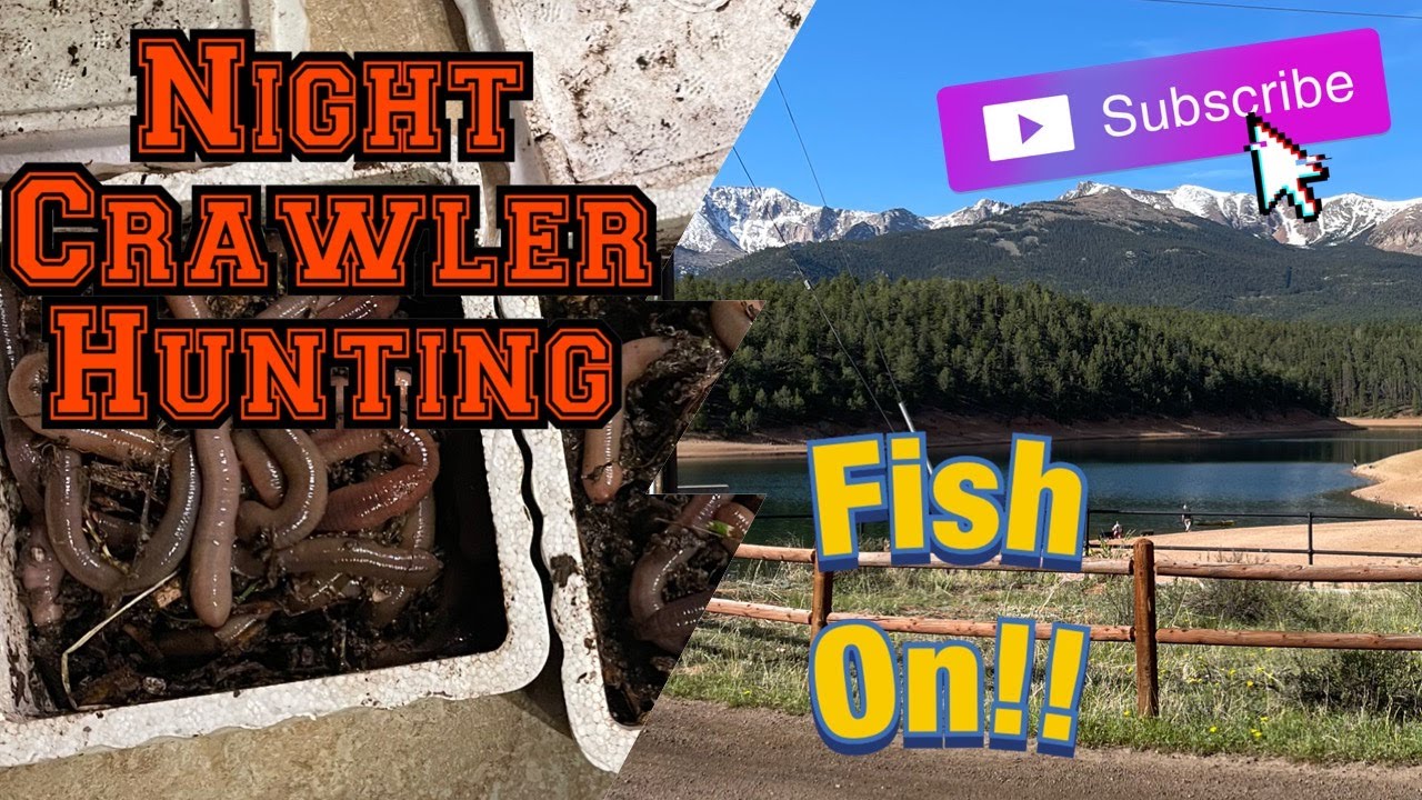 Night Crawler Hunting/ Fish On - YouTube