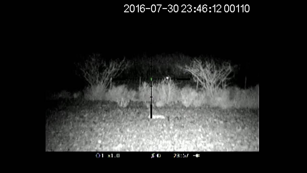 N850 Pulsar Compl 2 - YouTube