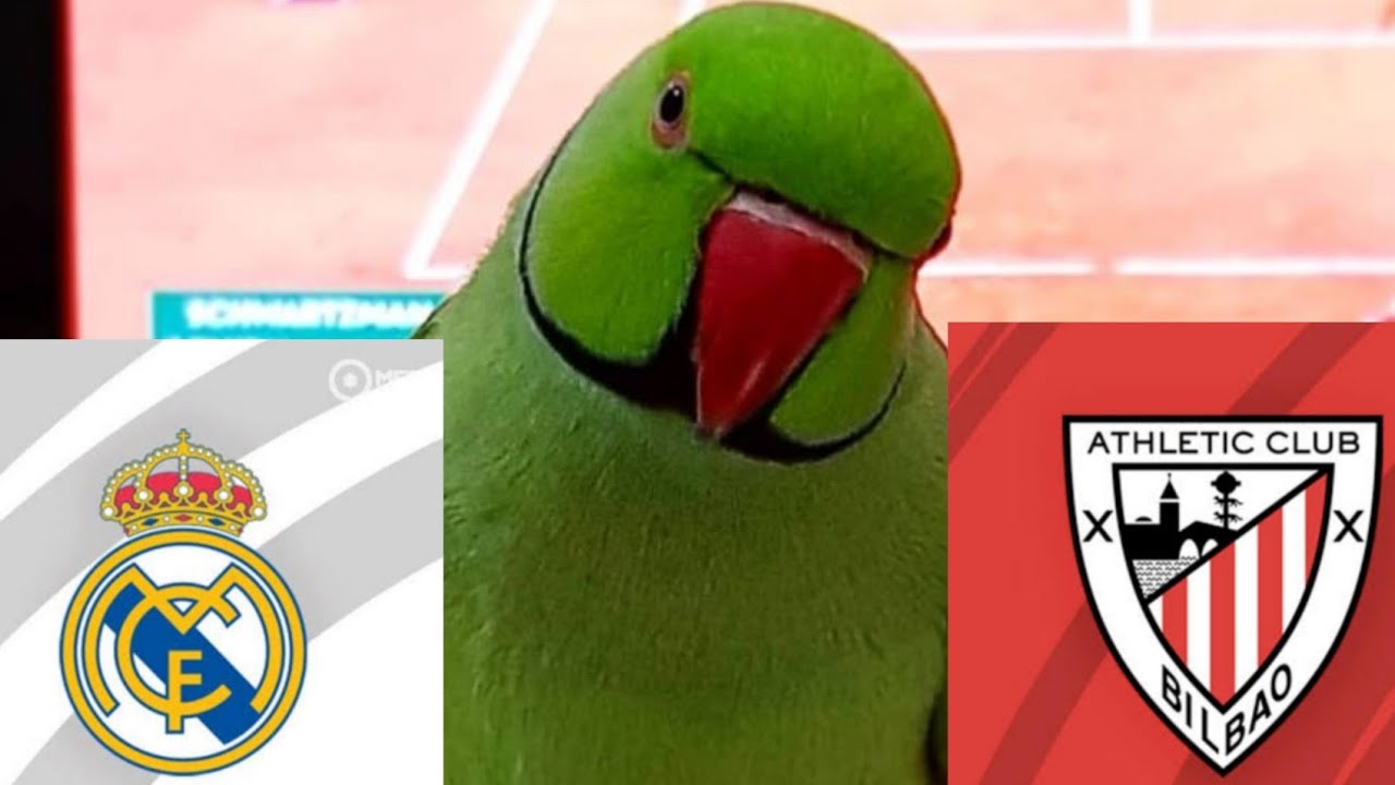 Real Madrid vs Athletic Club Prediction - La Liga 2023 - Parrot ...