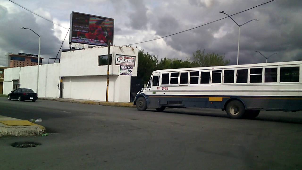 FREIGHTLINER BLUE BIRD SCHOOL BUS - YouTube