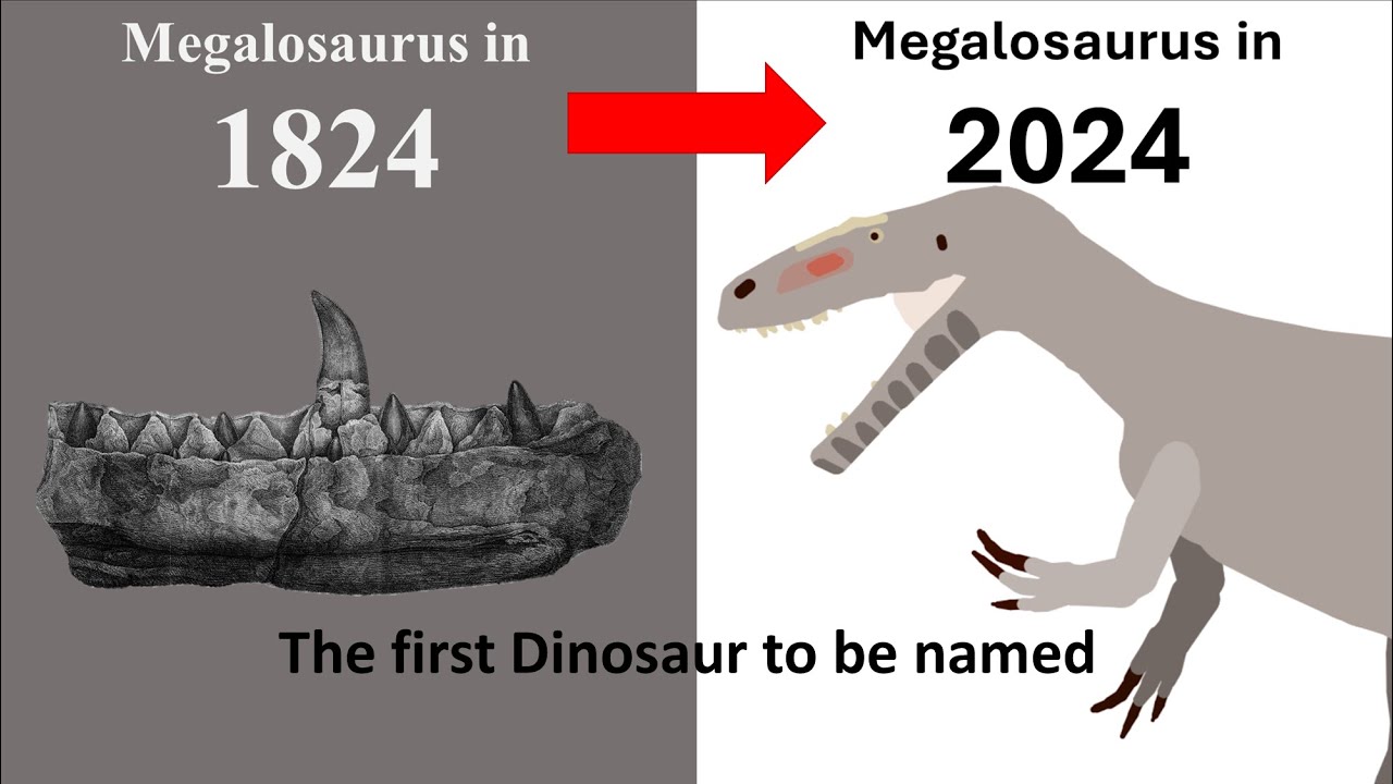 Megalosaurus 200th Anniversary - The first dinosaur to be named - YouTube