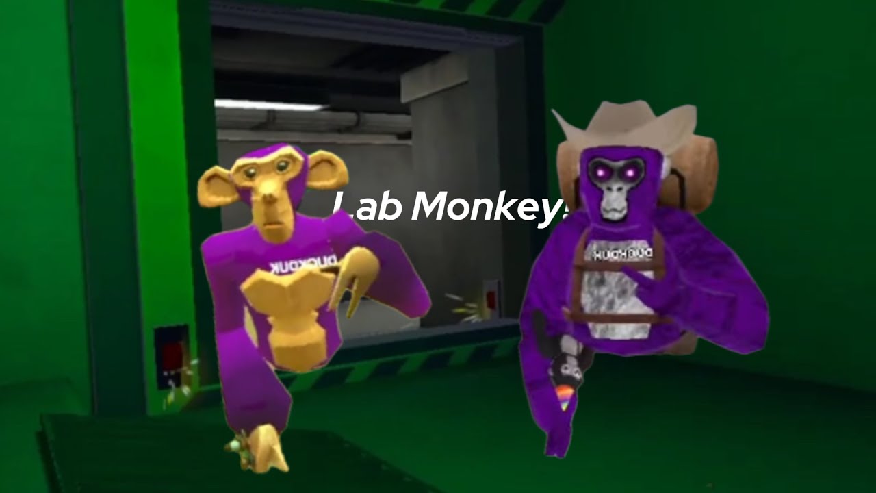Lab Monkey is HORRIFYING - YouTube
