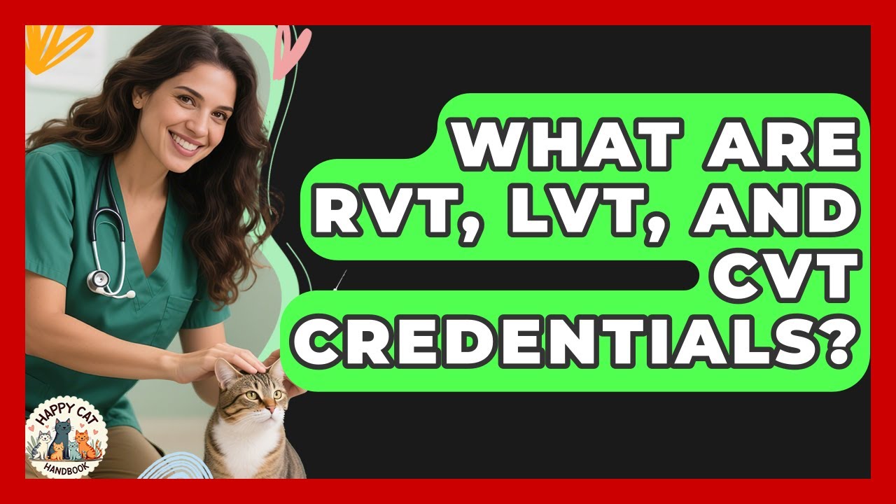 What Are RVT, LVT, And CVT Credentials? - Animal Care Jobs - YouTube