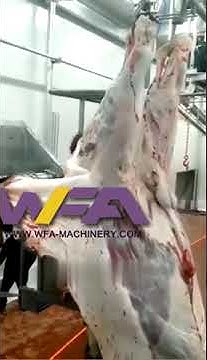 WFA Cow Abattoir Machines Slaughter House Cattle Dehiding Machine For ...