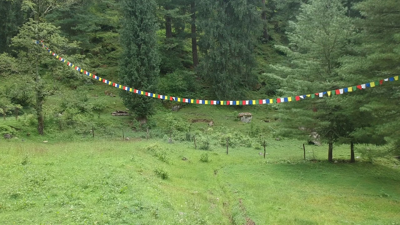 Pulga kullu drone view - YouTube