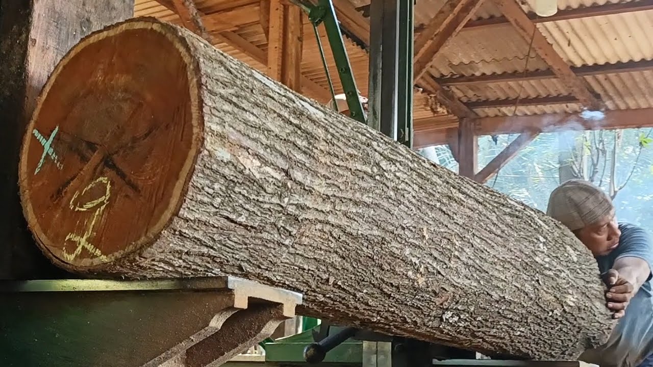 Sawing very hard wood - YouTube