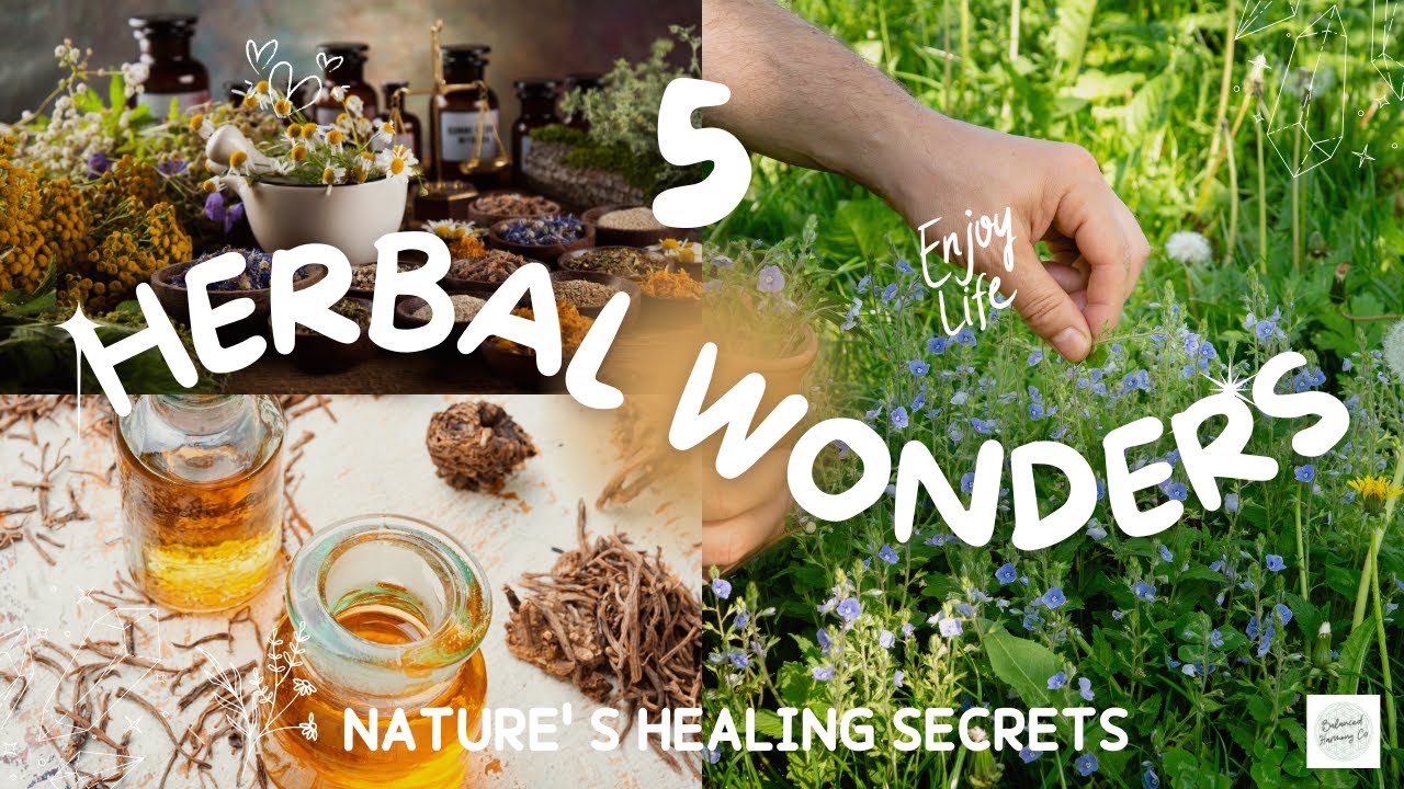 5 Herbal Wonders: Nature's Healing Secrets Unveiled - YouTube