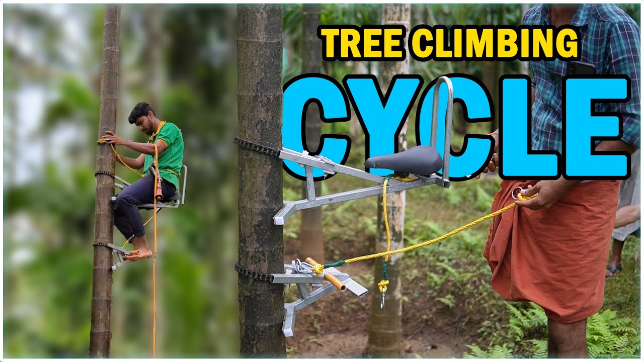 Arecanut Tree Climbing Cycle in Action | Farm Demo | Saya Enterprises ...