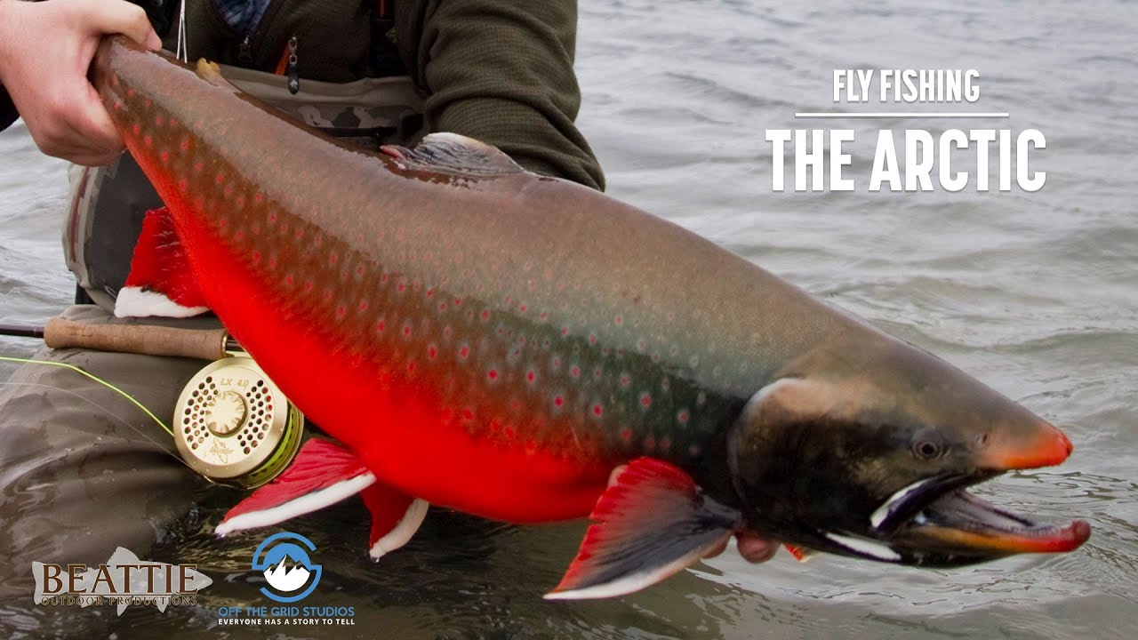 The Arctic: A Fly Fishing Adventure in Canada's Northern Wilderness ...