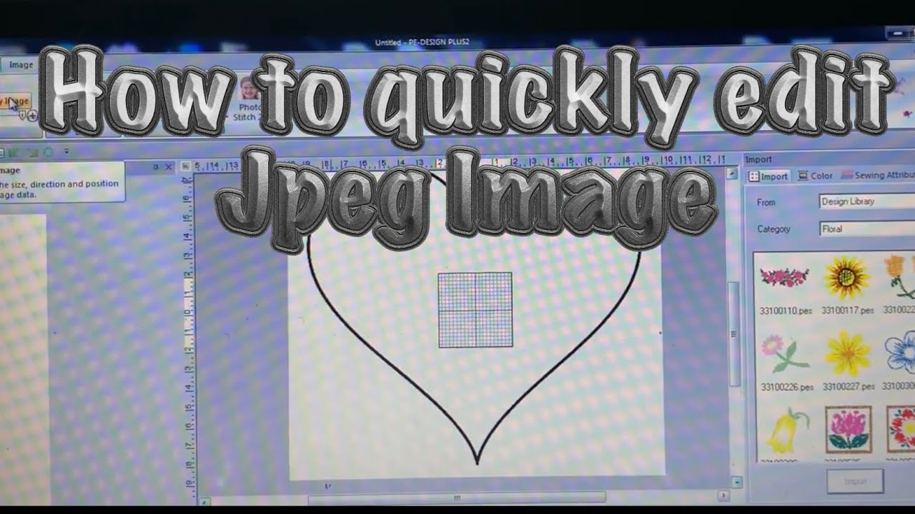 How to edit jpeg image quickly in PE Design Plus 2, pe design, pe ...