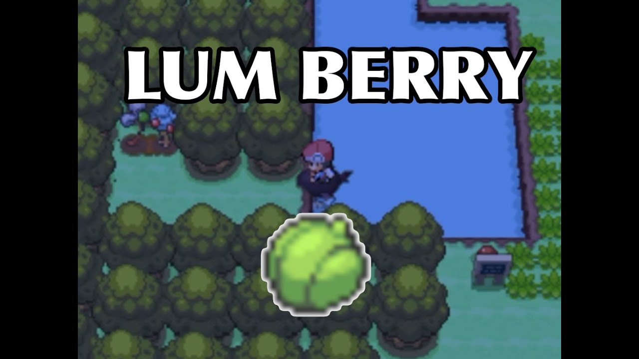 How to get a Lum Berry in Pokemon Platinum! - YouTube
