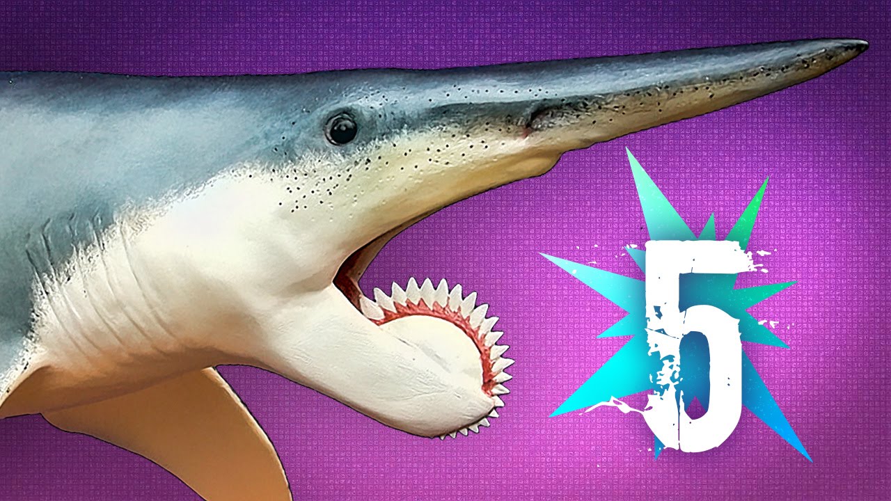 Les 5 MONSTRES Préhistoriques Les Plus ÉTRANGES ! Créatures ...