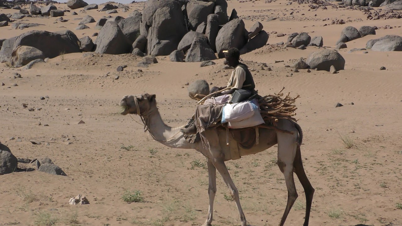 Day 15-Beja tribe camel rider as we head towards Kassala from the North ...