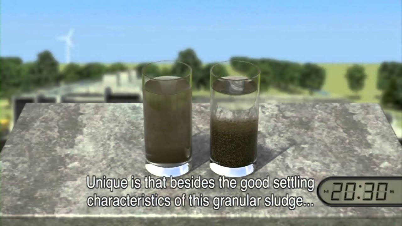 Process and opening Epe plant mp4 - Nereda® | Royal HaskoningDHV - YouTube