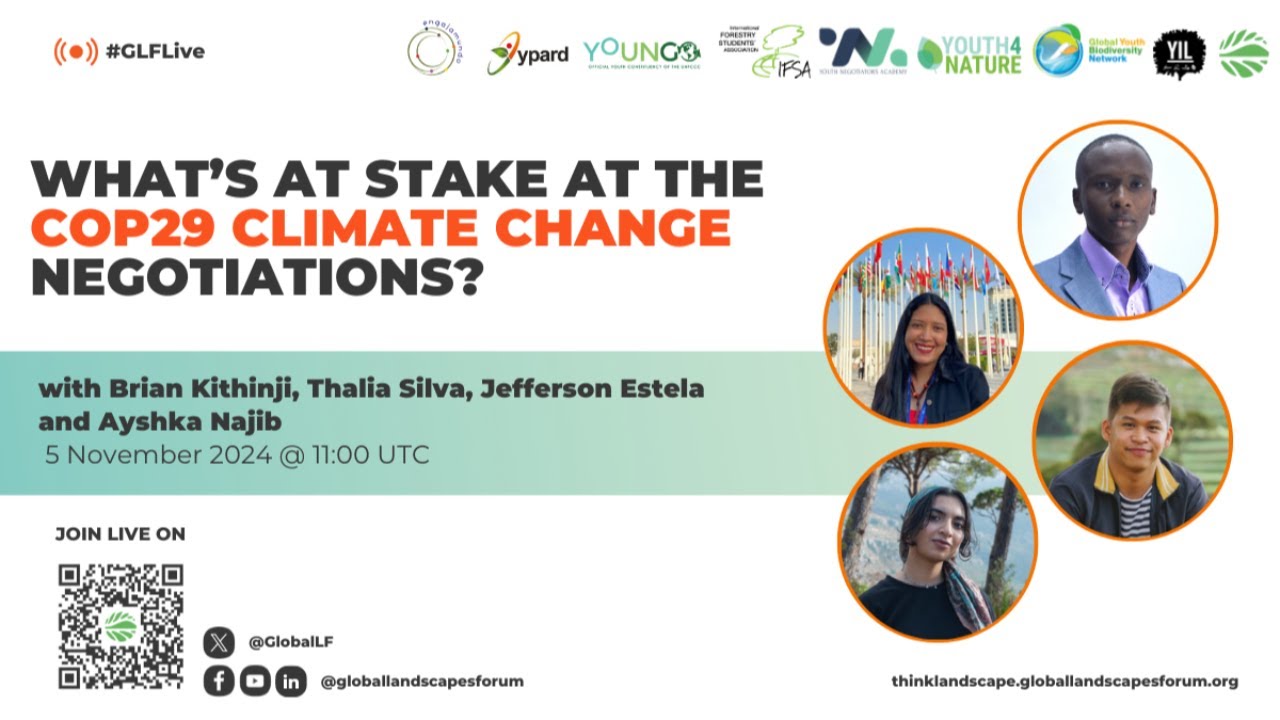 What the COP?! What’s at stake at the COP29 climate change negotiations ...