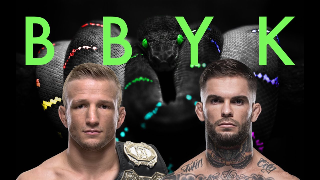 Dillashaw vs Garbrandt 2: The Art of Kayfabe / UFC 227 Fight Breakdowns ...