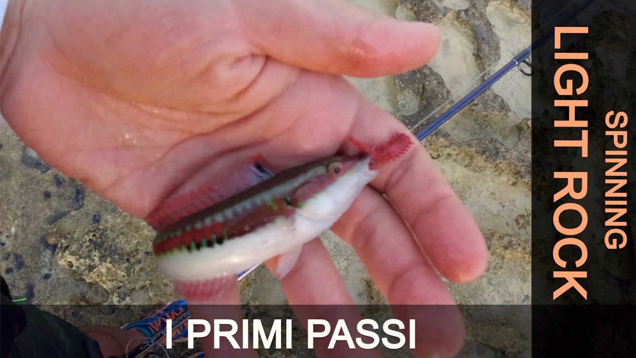 La mia prima esperienza a LIGHT ROCK Fishing - YouTube