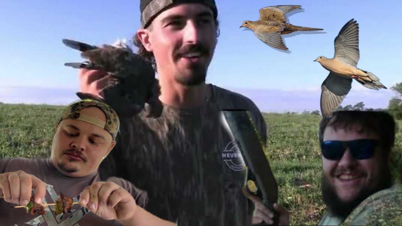 Dove hunting (CATCH CLEAN COOK) Kentucky opener - YouTube