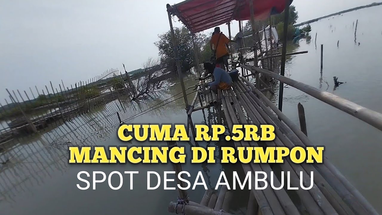 MANCING DI RUMPON AMBULU BAYAR CUMA 5REBU#fishing - YouTube