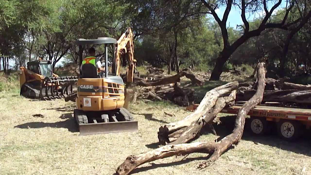 Kiawe wood logs removal by Excavation Contractor on Maui Vares ...