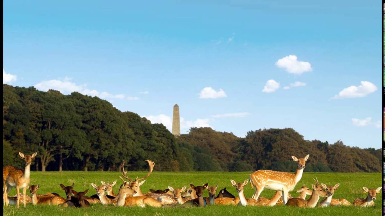 Map tour Phoenix Park - YouTube