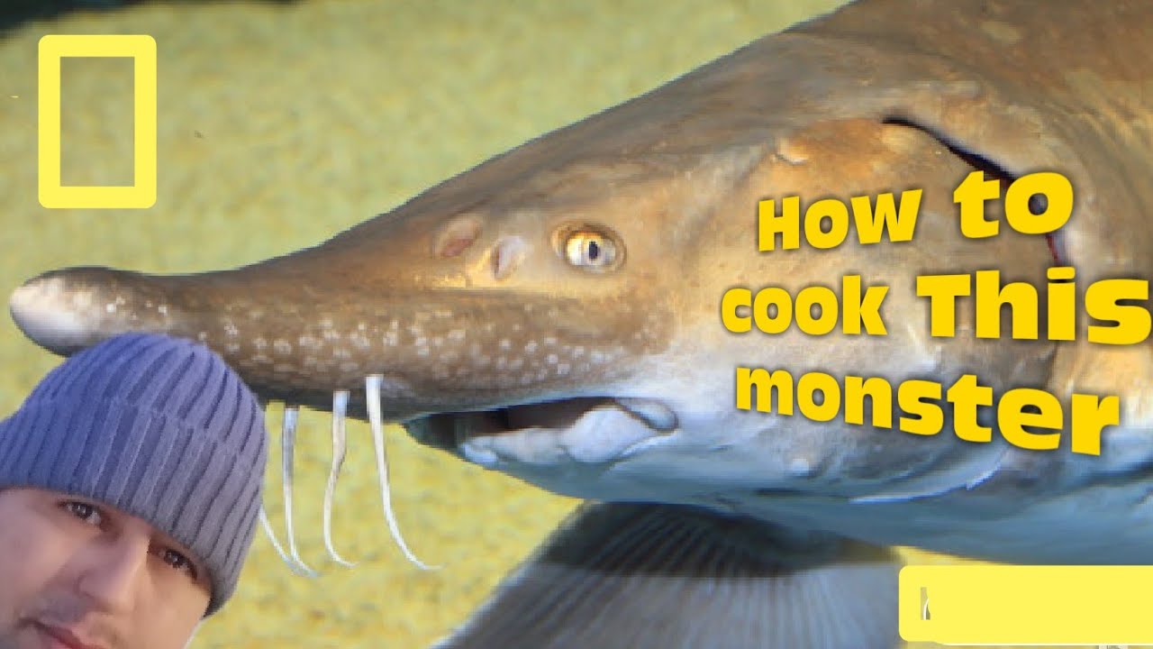 Very Delicious melty fish in the woods - YouTube