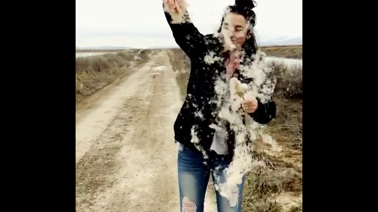 Cattail Explosion - YouTube