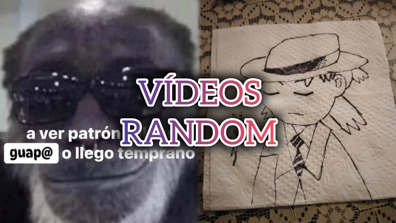 VÍDEOS RANDOM, MEMES RANDOM, HUMOR VIRAL, TIK TOK Y SHITPOSTING v35 ...