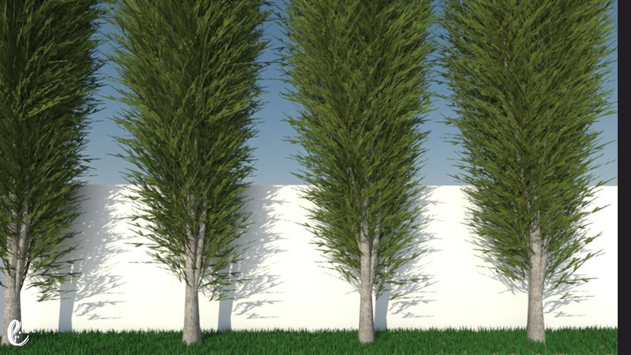 How to create Tree and Grass with Plugin - Tutorial Sketchup - YouTube