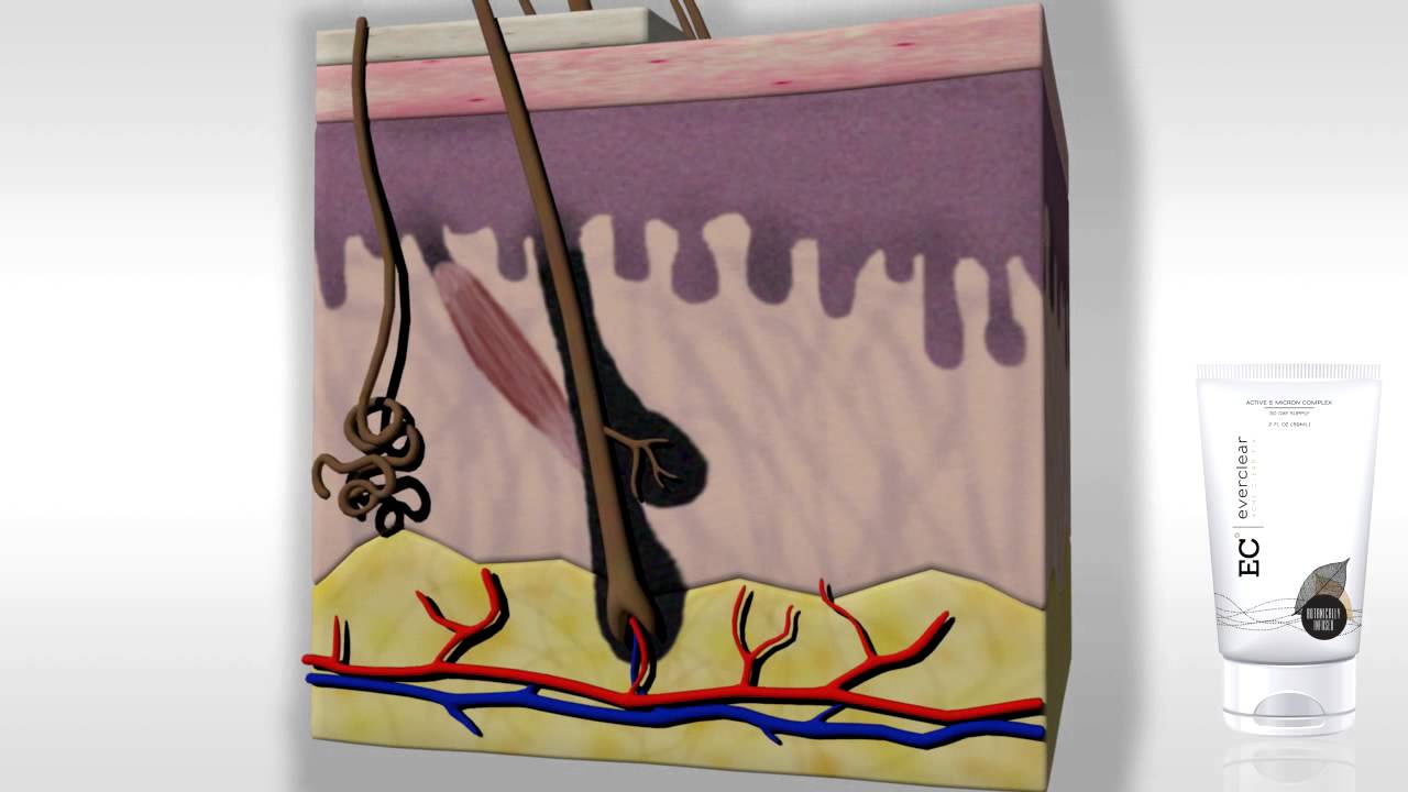 Skin animation - YouTube