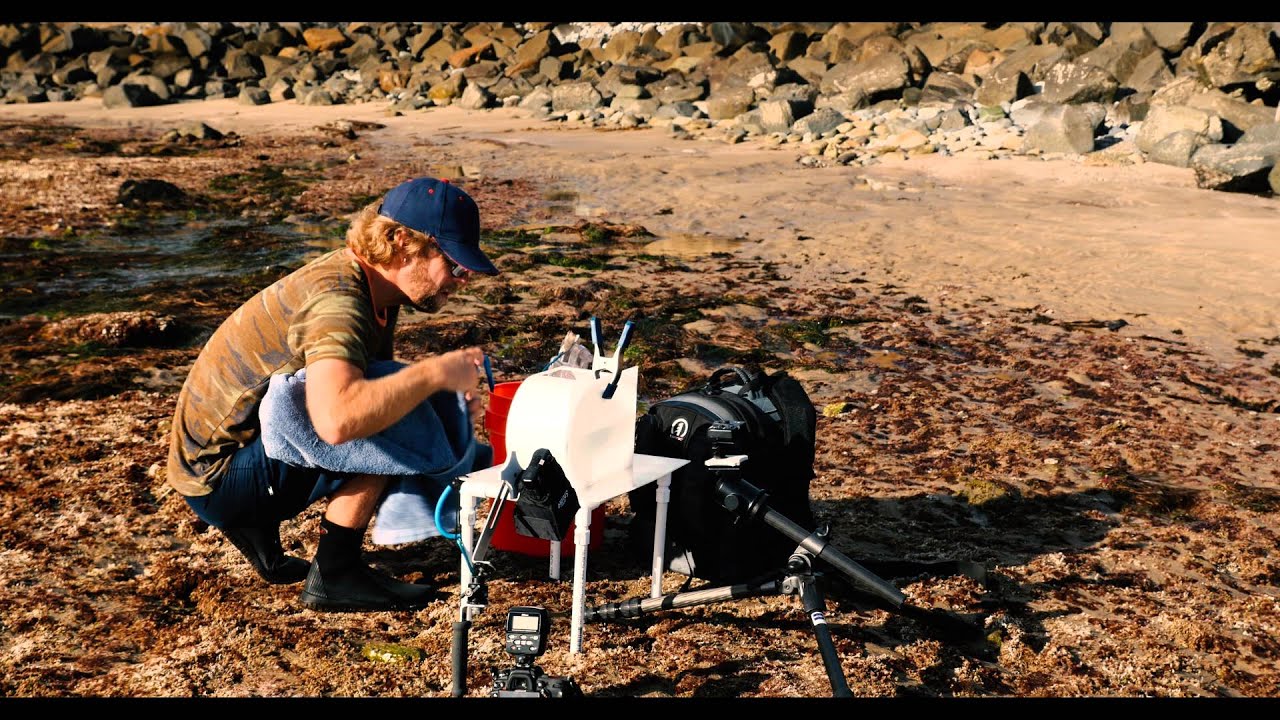 Michael Ready Artist in Residence - Cabrillo National Monument - YouTube