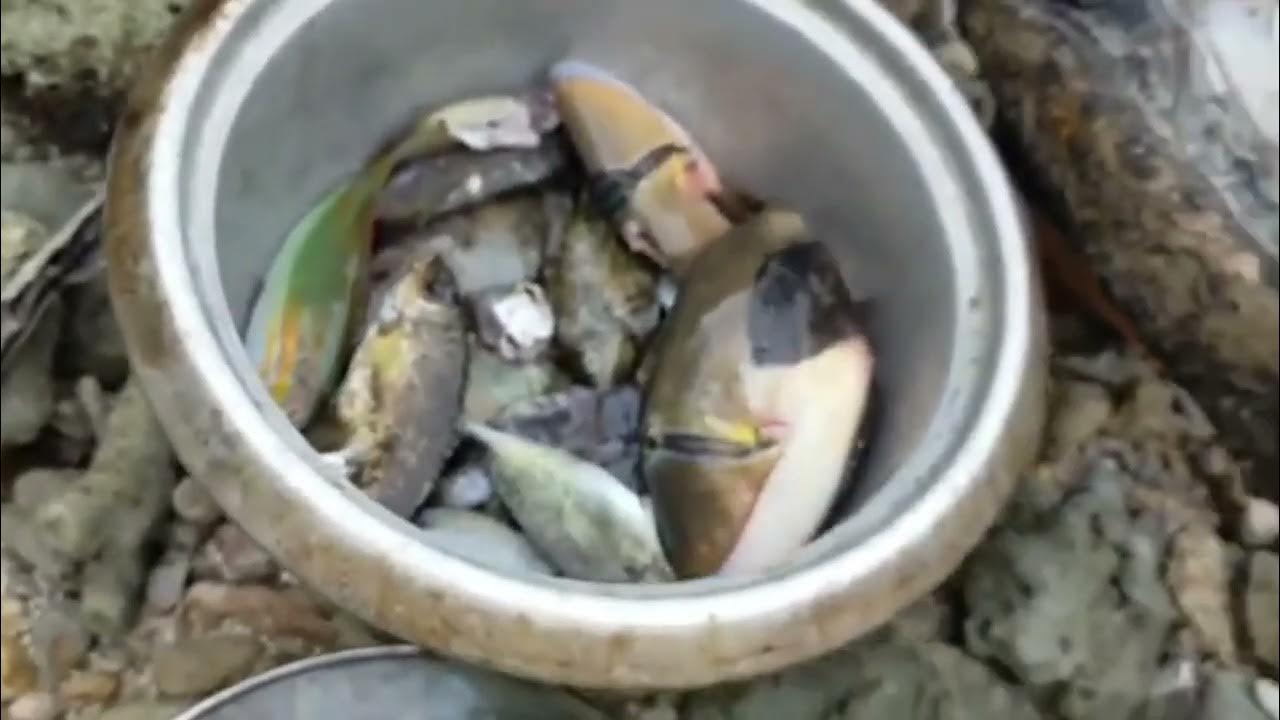 MGA MANLALAMBAT DITO SA MASBATE | jobeth kitchen - YouTube