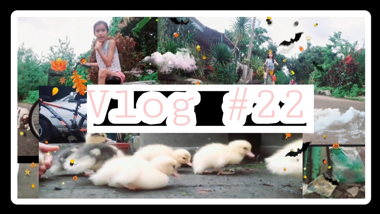 Bonding time in Pacol♡|Erich Vlogs - YouTube