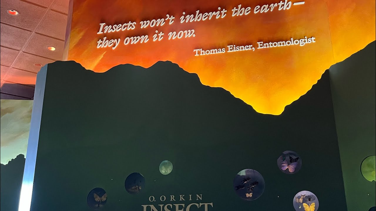 O. Orkin insect zoo tour - YouTube