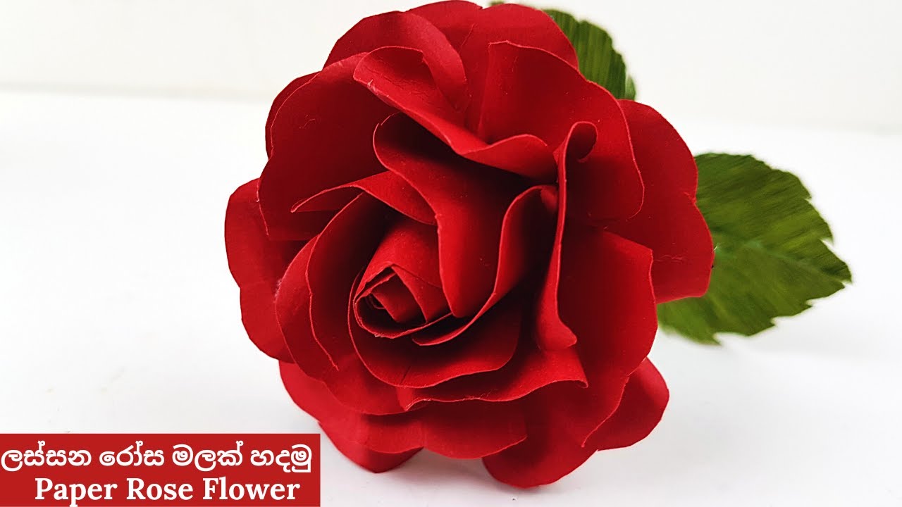 How to make (Cardstock)Paper Rose Flower |ලස්සන රෝස මලක් හදමු | Paper ...
