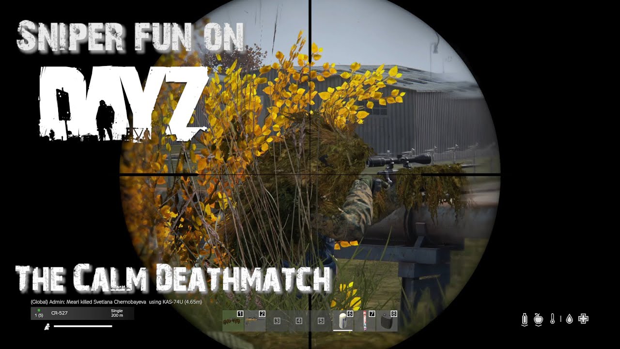 Dayz - The art of The Invisible Sniper - YouTube
