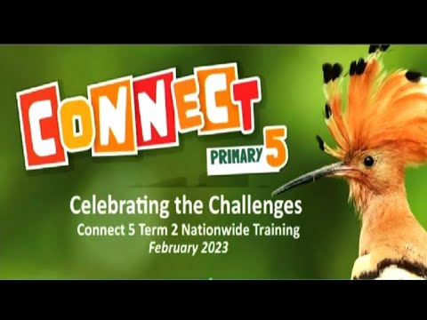 Sphinx Publishing Company _ connect primary 5 | term 2 | Nationwide ...