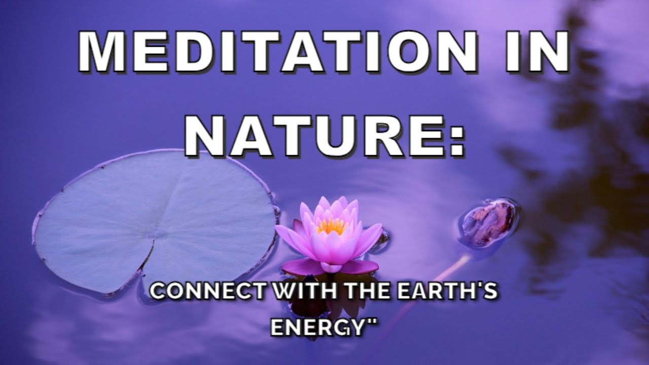 Harmonizing with the Elements: Meditative Moments in Nature" - YouTube