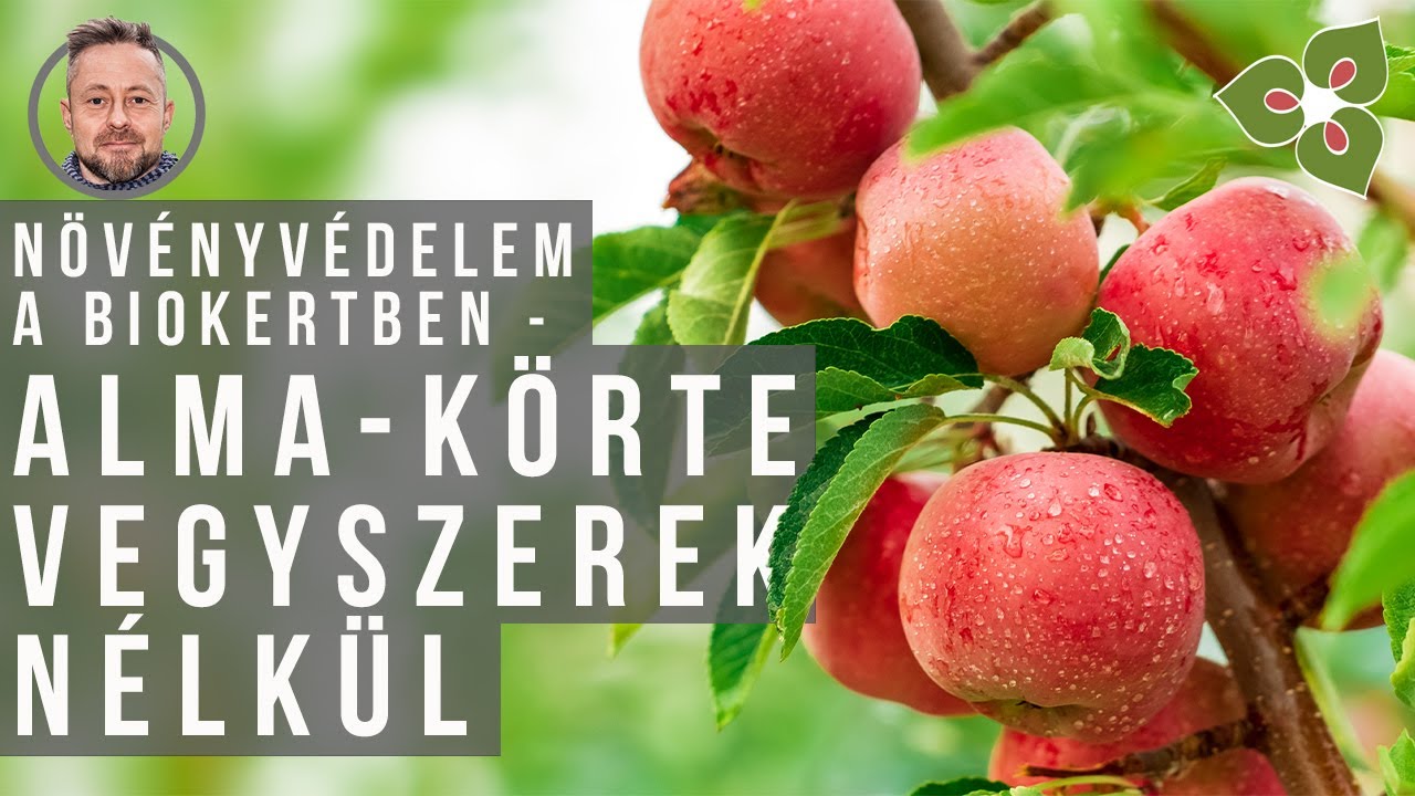 Növényvédelem a biokertben: Alma-körte vegyszerek nélkül | kert TV ...