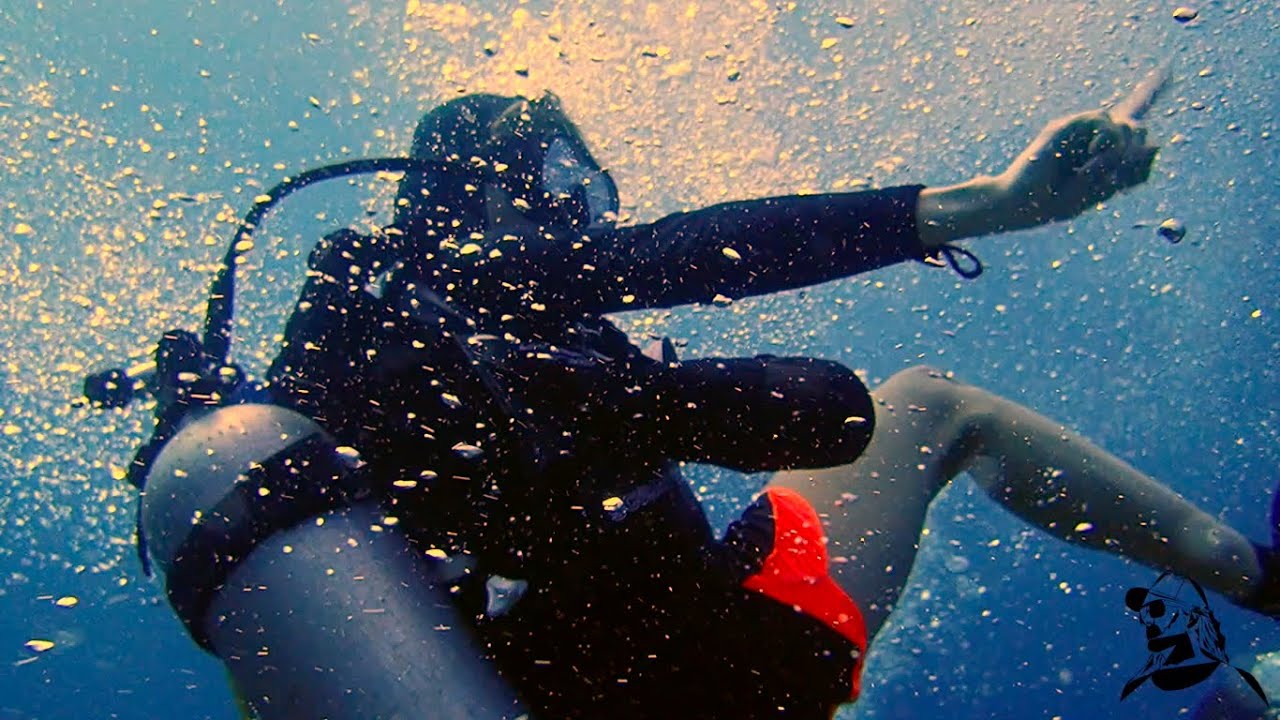 Diving Lighthouse in North Komodo on Liveaboard IKAN BIRU - YouTube