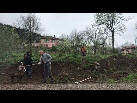 Şaziyenin köylülerle yol kavgası