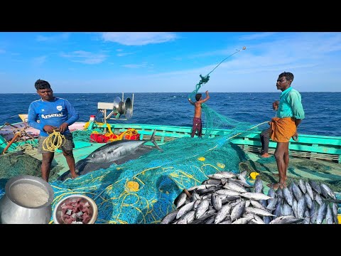 OMG 😱 Fourth Day Unbelievable Catches 💢 Full Video Capture 🤩 Indian Fishing Adventure 