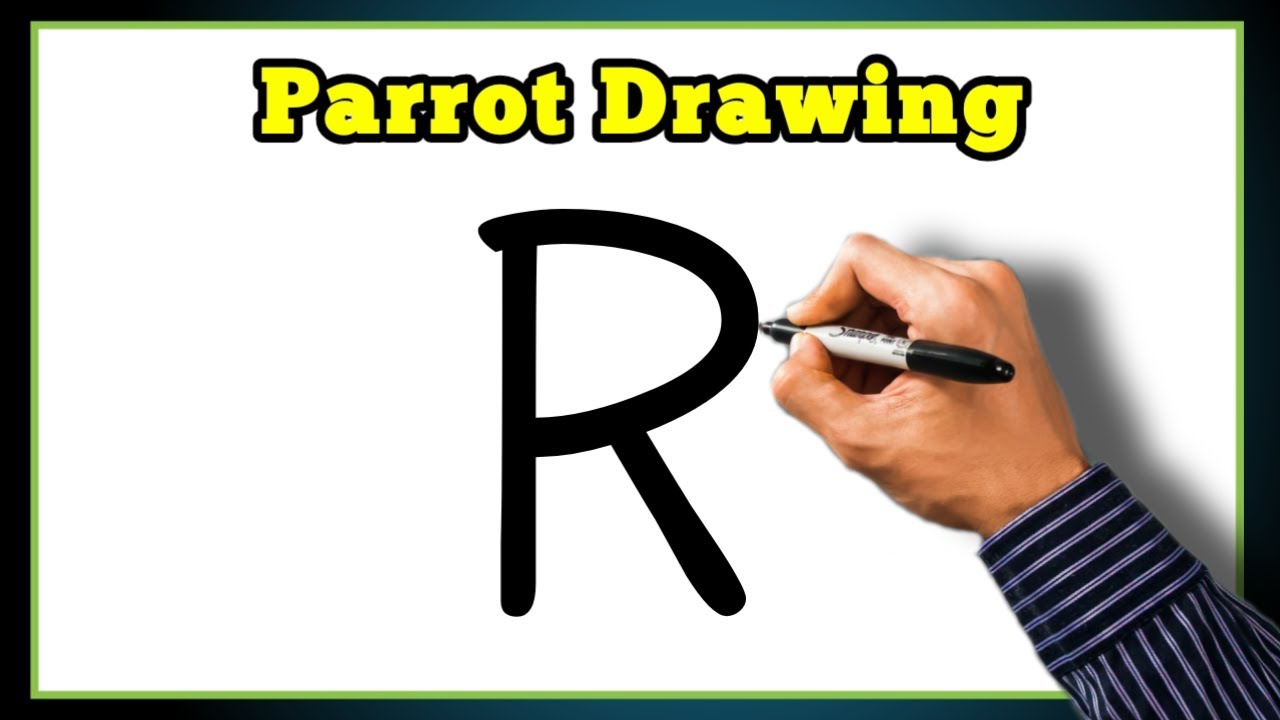 Simple Parrot Drawing from R | How to Draw Parrot Step by Step | Easy ...