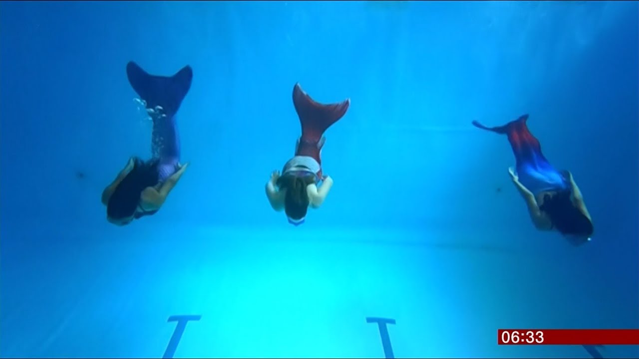 Merlympics - first time its held in the UK - BBC News - 1st September ...