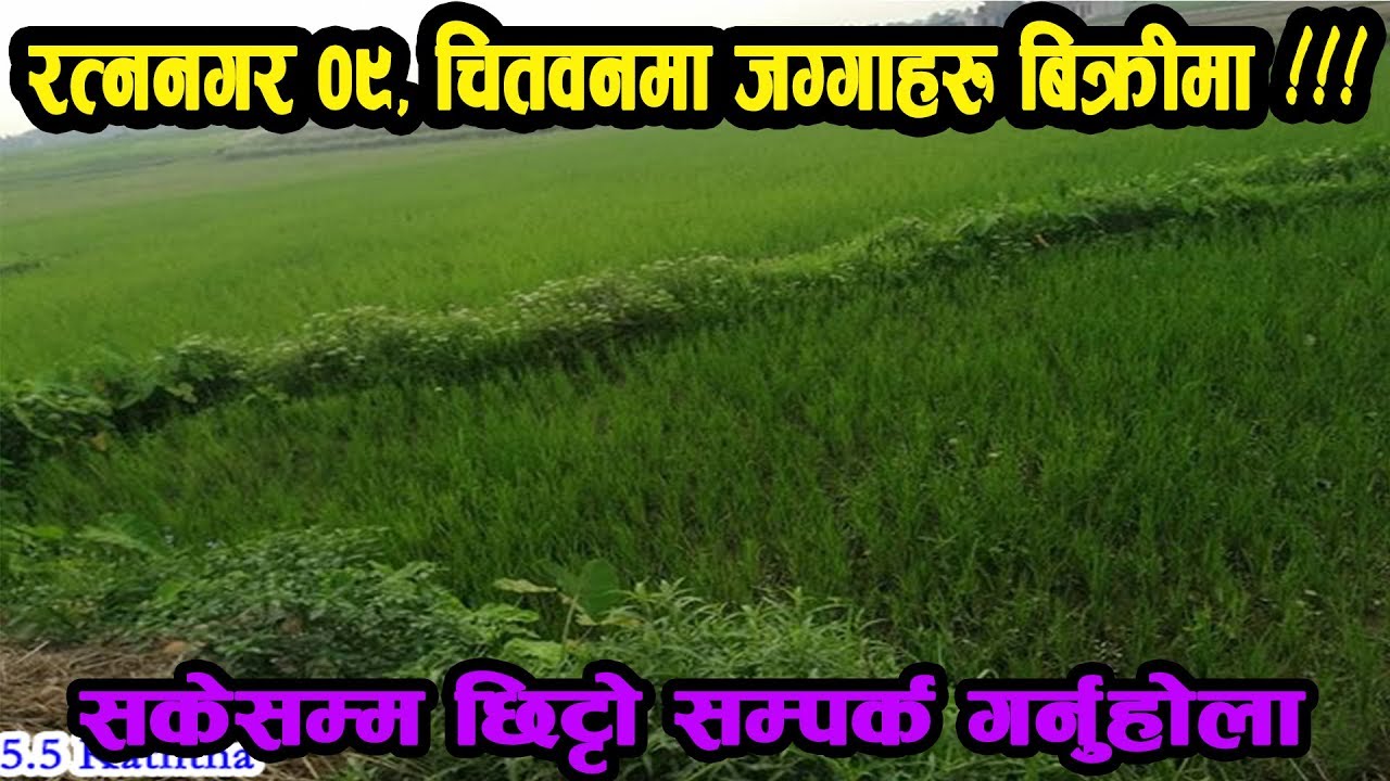 Beautiful Land For Sale At Ratnanagar 09 Chitwan 9802520510 beautiful-land-for-sale-at-ratnanagar-09-chitwan-9802520510
