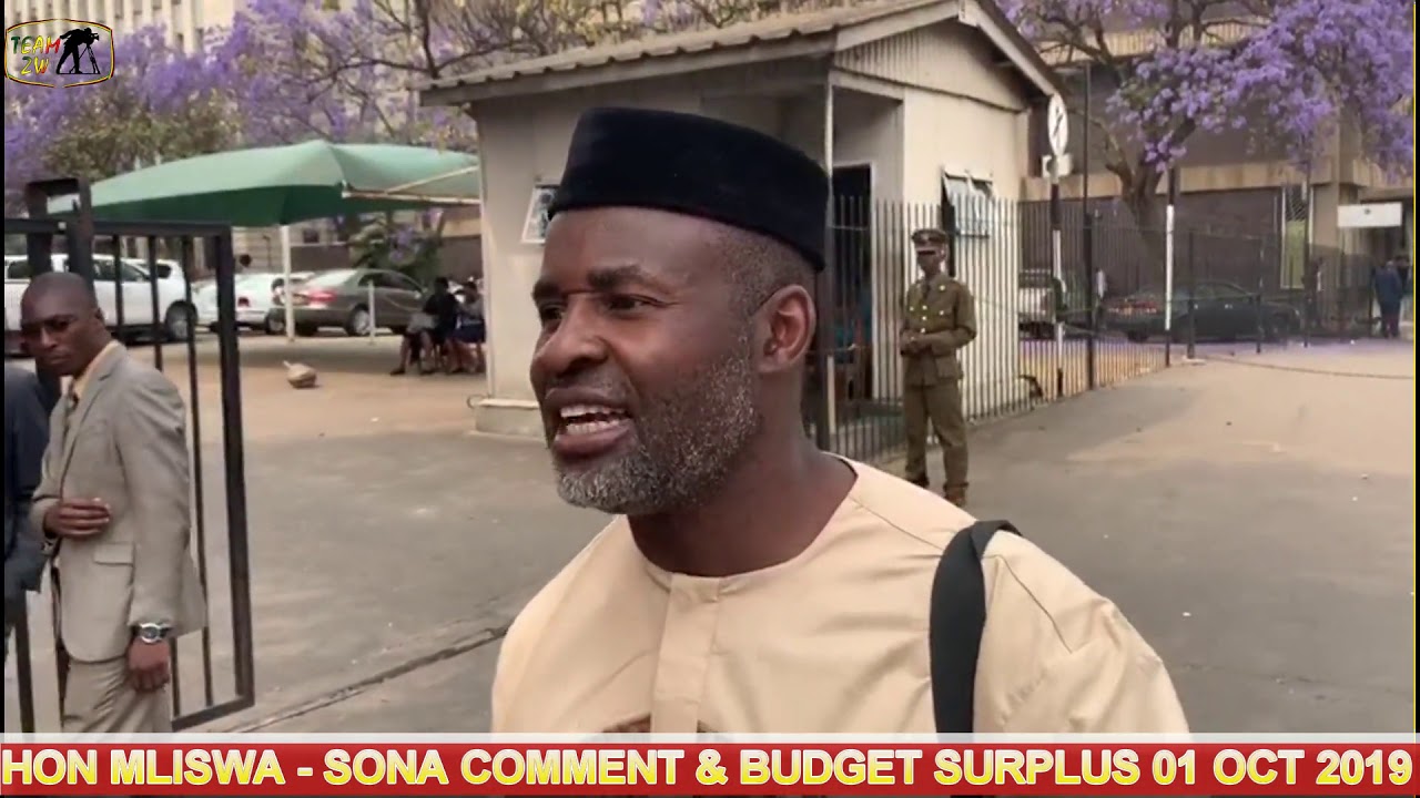 Temba Mliswa on President E D Mnangagwa SONA - YouTube