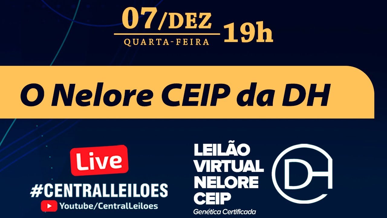 LIVE - LEILÃO VIRTUAL NELORE CEIP DH - YouTube
