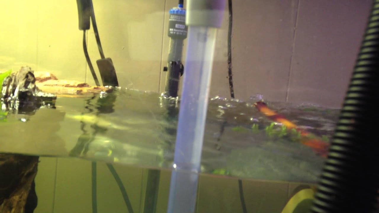 Fluval 406 help - YouTube