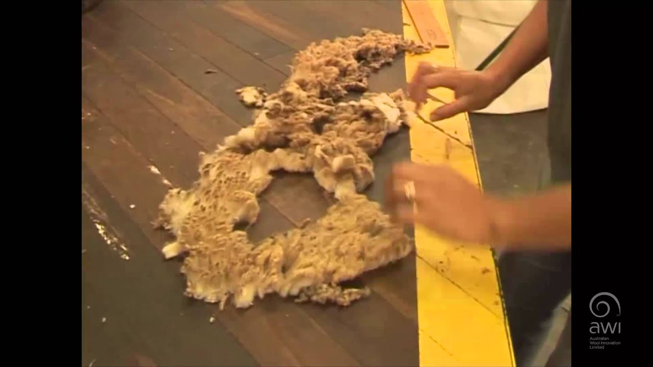 AWI Wool Handling - Getting a Start - Point of View - Angela Wakeley ...