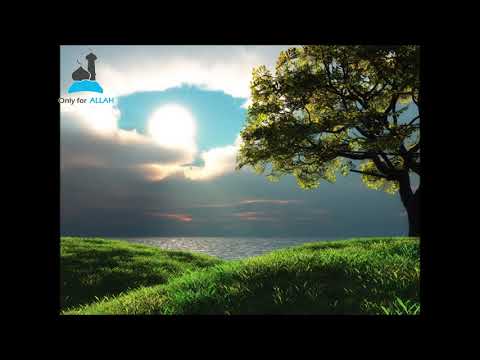 Surah Yasin (77-83) | Sheikh Mansour As-Salimi | الشيخ منصور السالمي